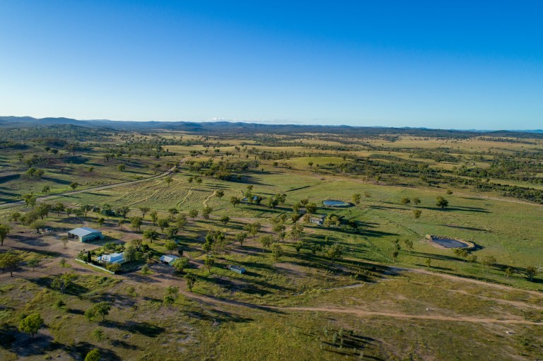 “Brooklyn” – Texas Rural Agencies